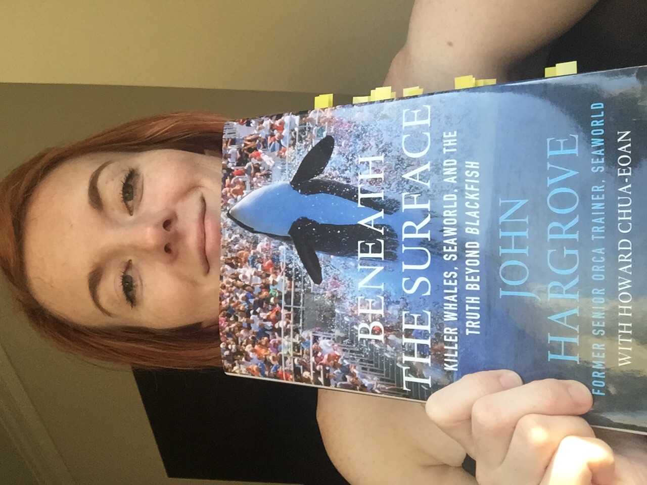 Beneath The Surface Book