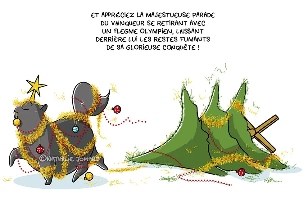 Leçon de prédation — Nathalie Jomard/Illustrations