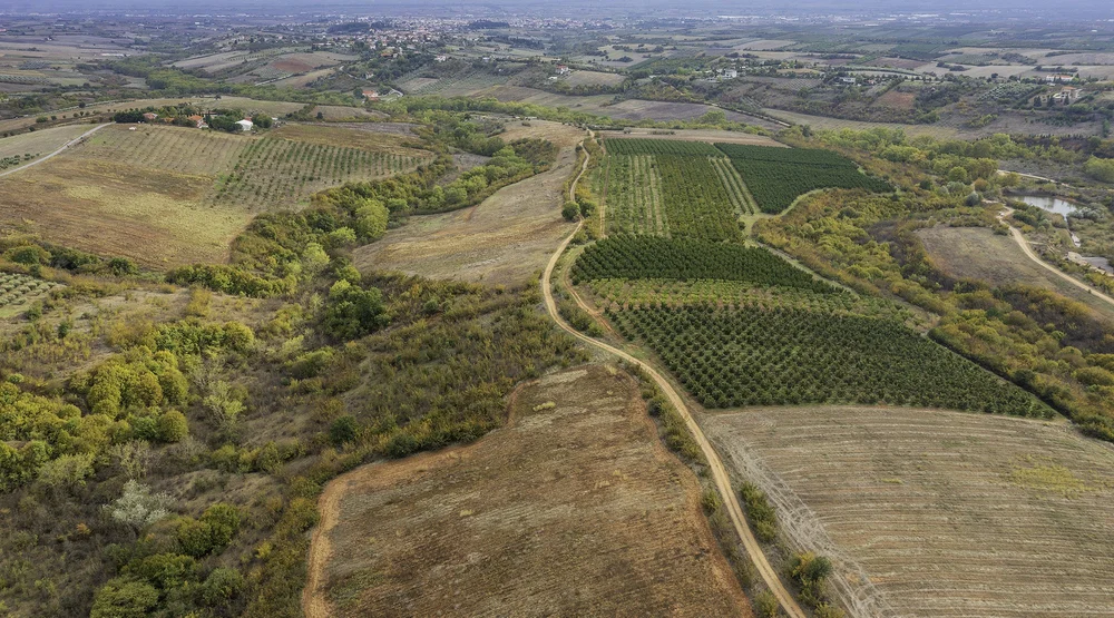 Drone — Michael Mercer Photography