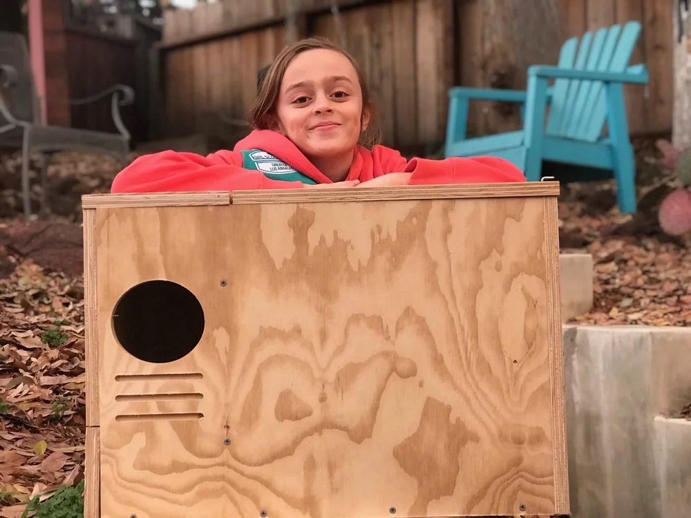 Barn Owl Nesting Box Program — Citizens for Los Angeles Wildlife