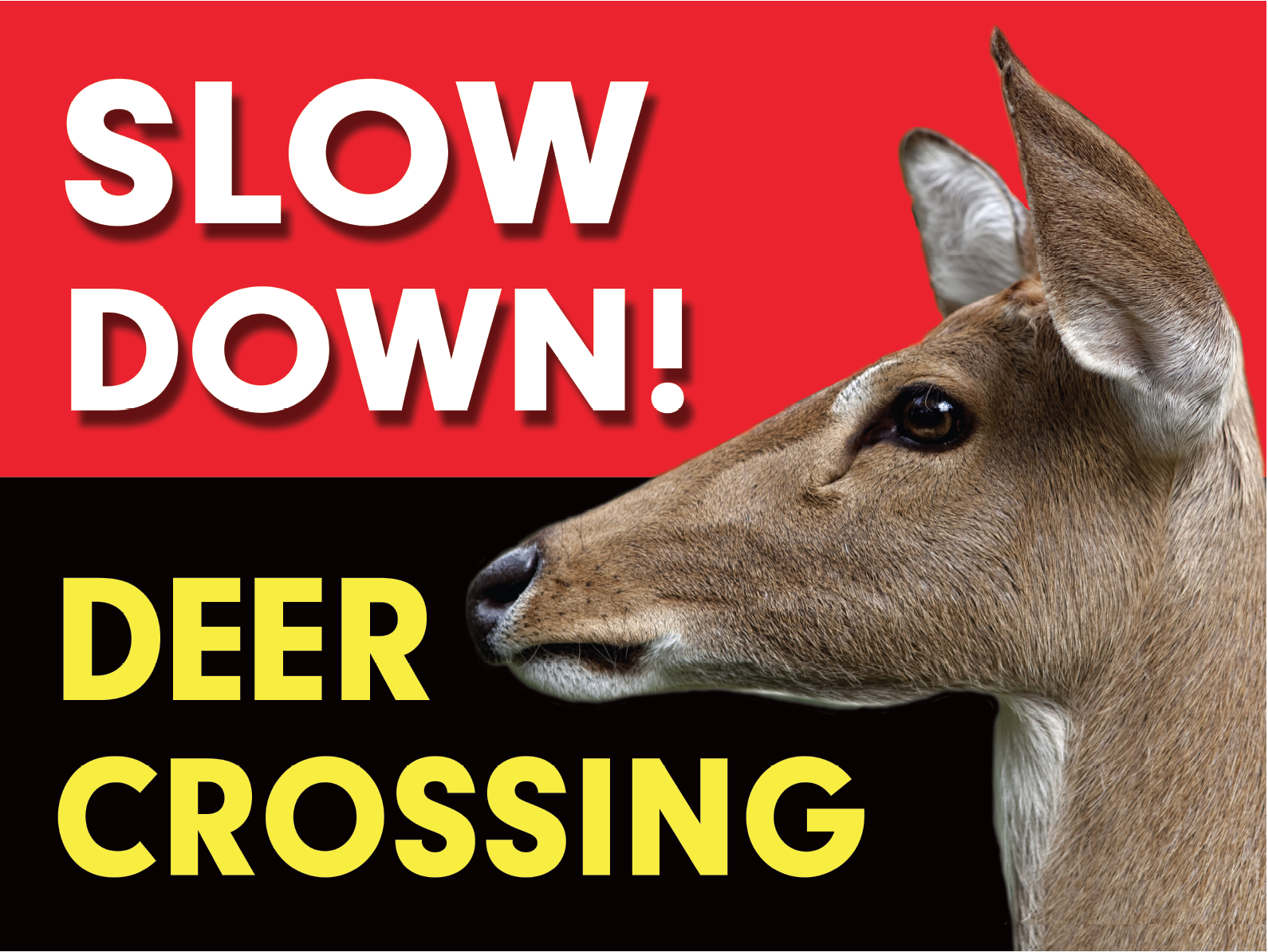 Deer Crossing