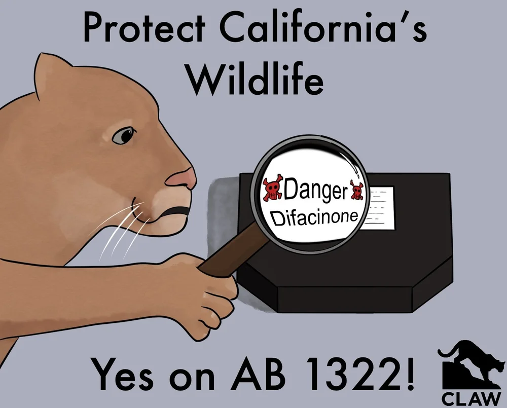 Help Ban Rodenticide — Citizens for Los Angeles Wildlife