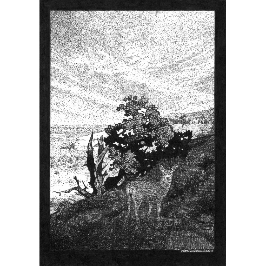 Nick Neddo earthartsNick Neddo Artist