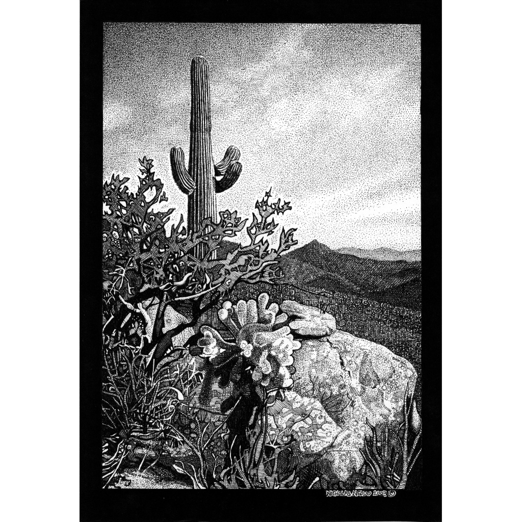 Sonoran Desert, Nick Neddo Books & ArtNick Neddo eartharts—The Organic ...