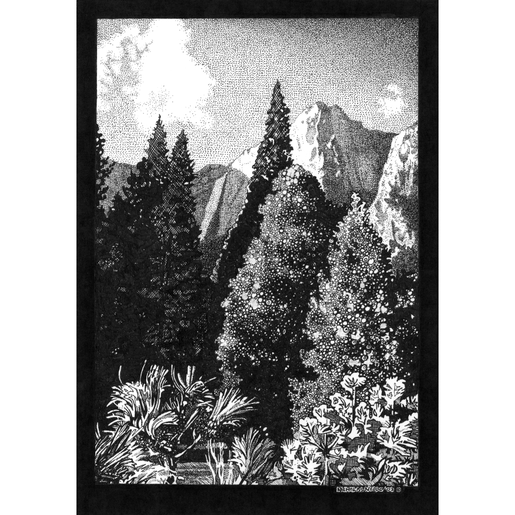 Yosemite Falls, Nick Neddo Books & ArtNick Neddo eartharts—The Organic ...