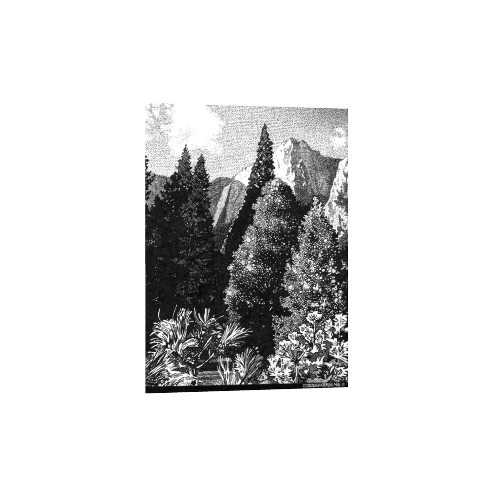 Yosemite Falls, Nick Neddo Books & ArtNick Neddo eartharts—The Organic ...