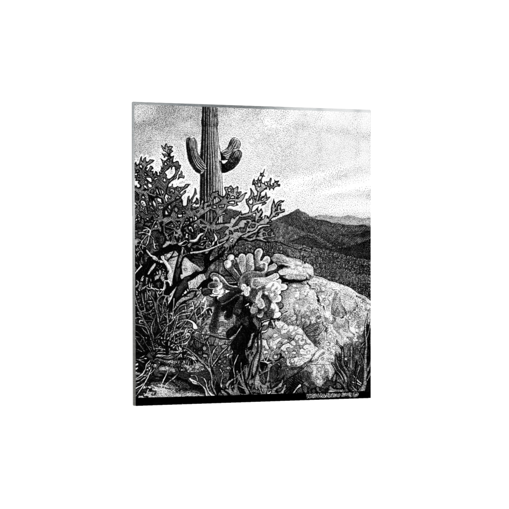 Sonoran Desert, Nick Neddo Books & ArtNick Neddo eartharts—The Organic ...
