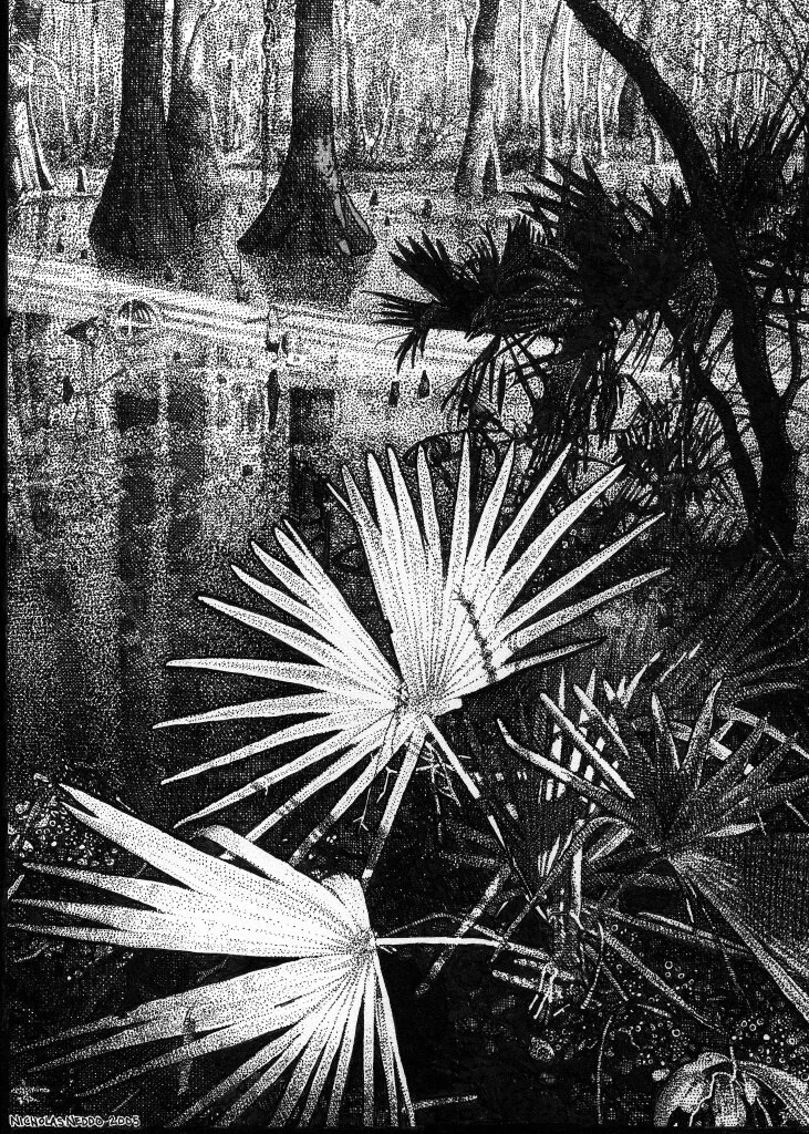 Bayou, Nick Neddo Books & ArtNick Neddo eartharts—The Organic Artist book
