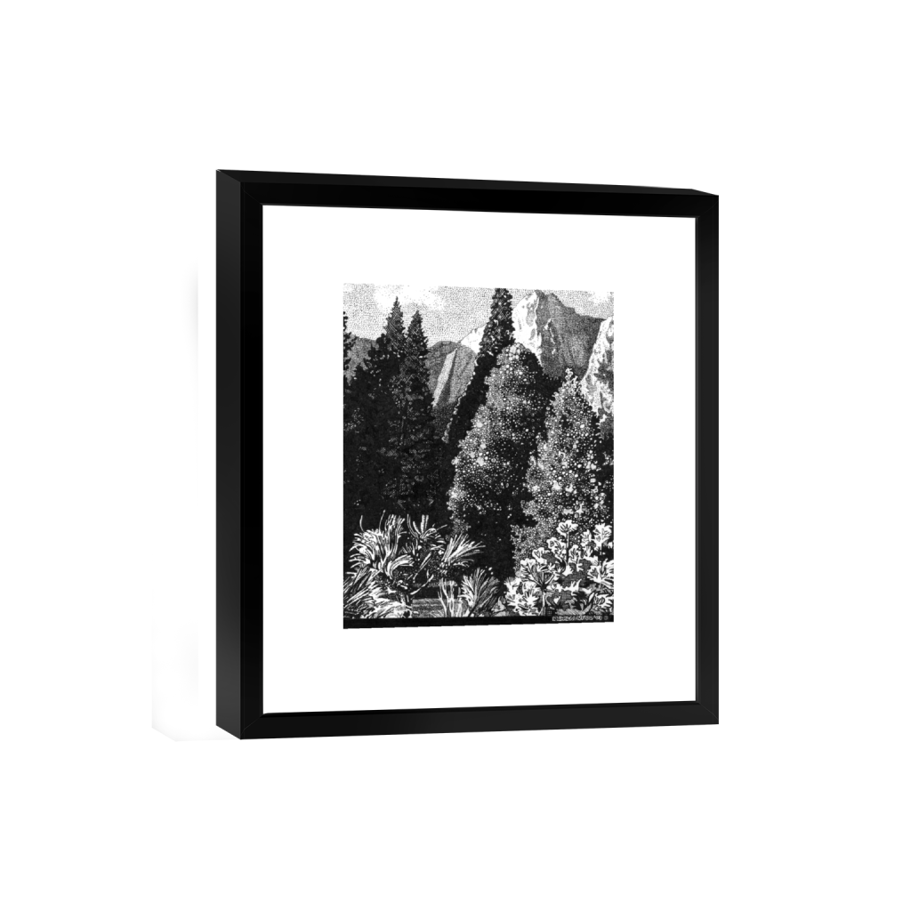 Yosemite Falls, Nick Neddo Books & ArtNick Neddo eartharts—The Organic ...