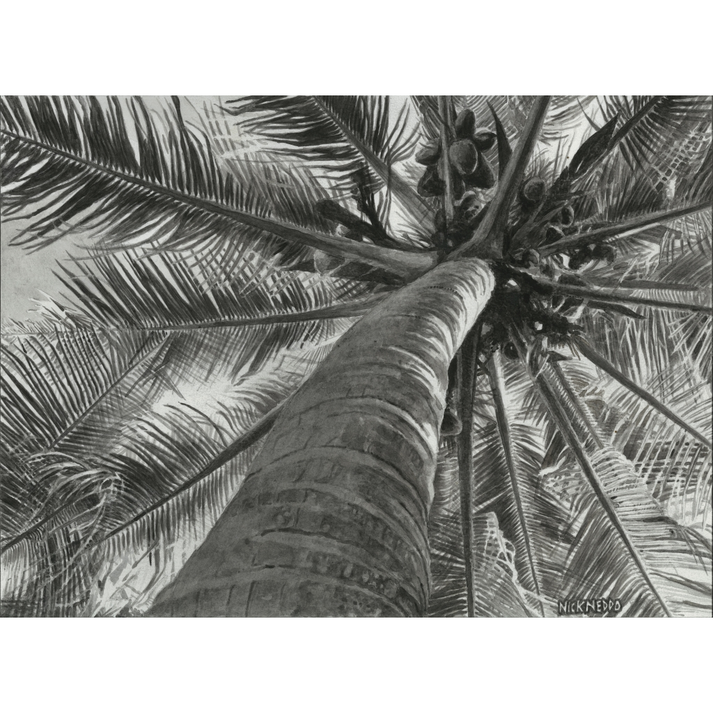 Nick Neddo earthartsNick Neddo Artist