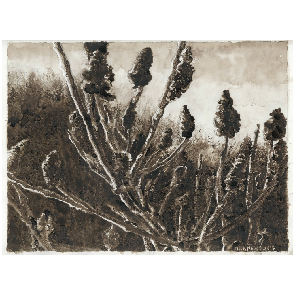 The Organic Artist for Kids — Nick Neddo eartharts