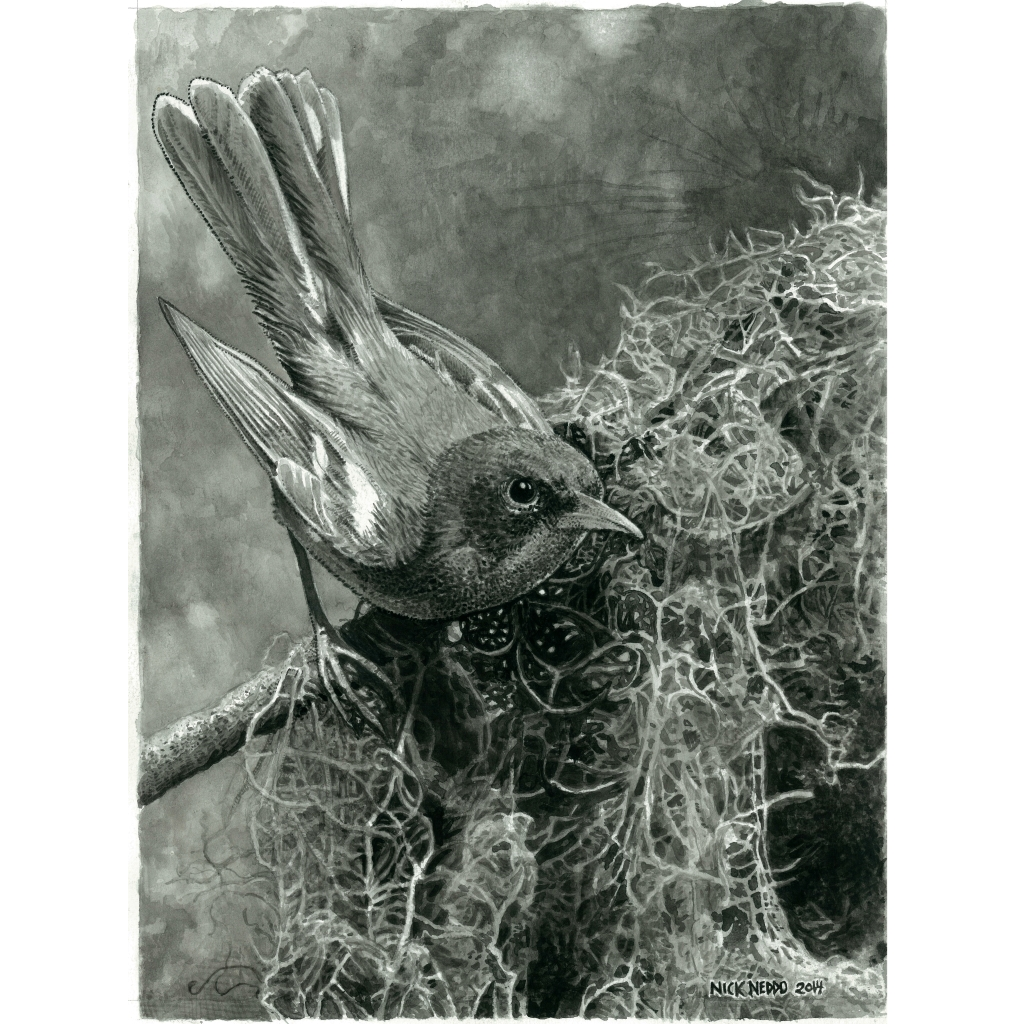 Nick Neddo earthartsNick Neddo Artist