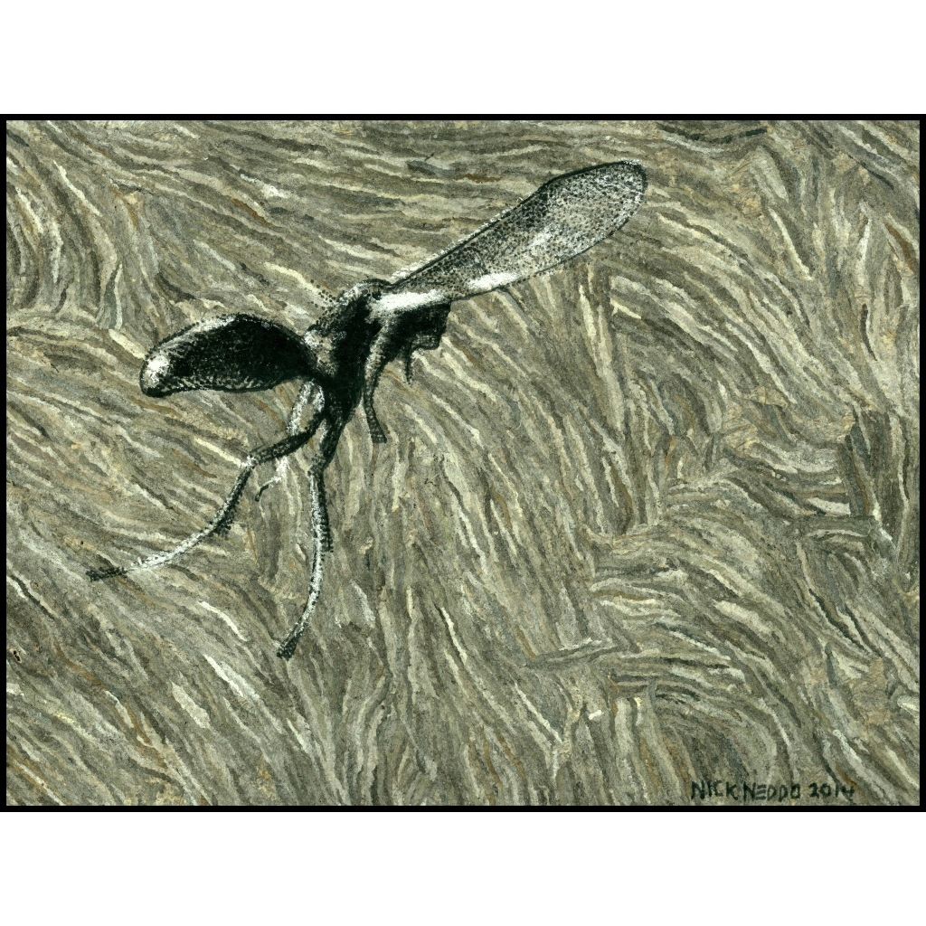 Nick Neddo earthartsNick Neddo Artist