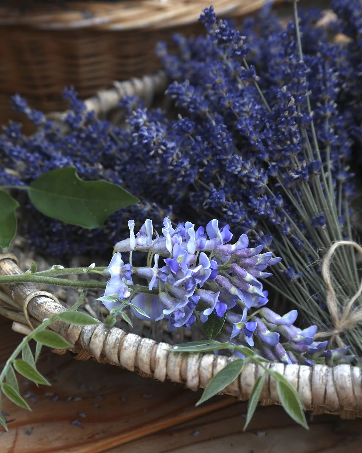 Another Lavish Lavender Harvest and New Sachet Designs! — Made on 23rd