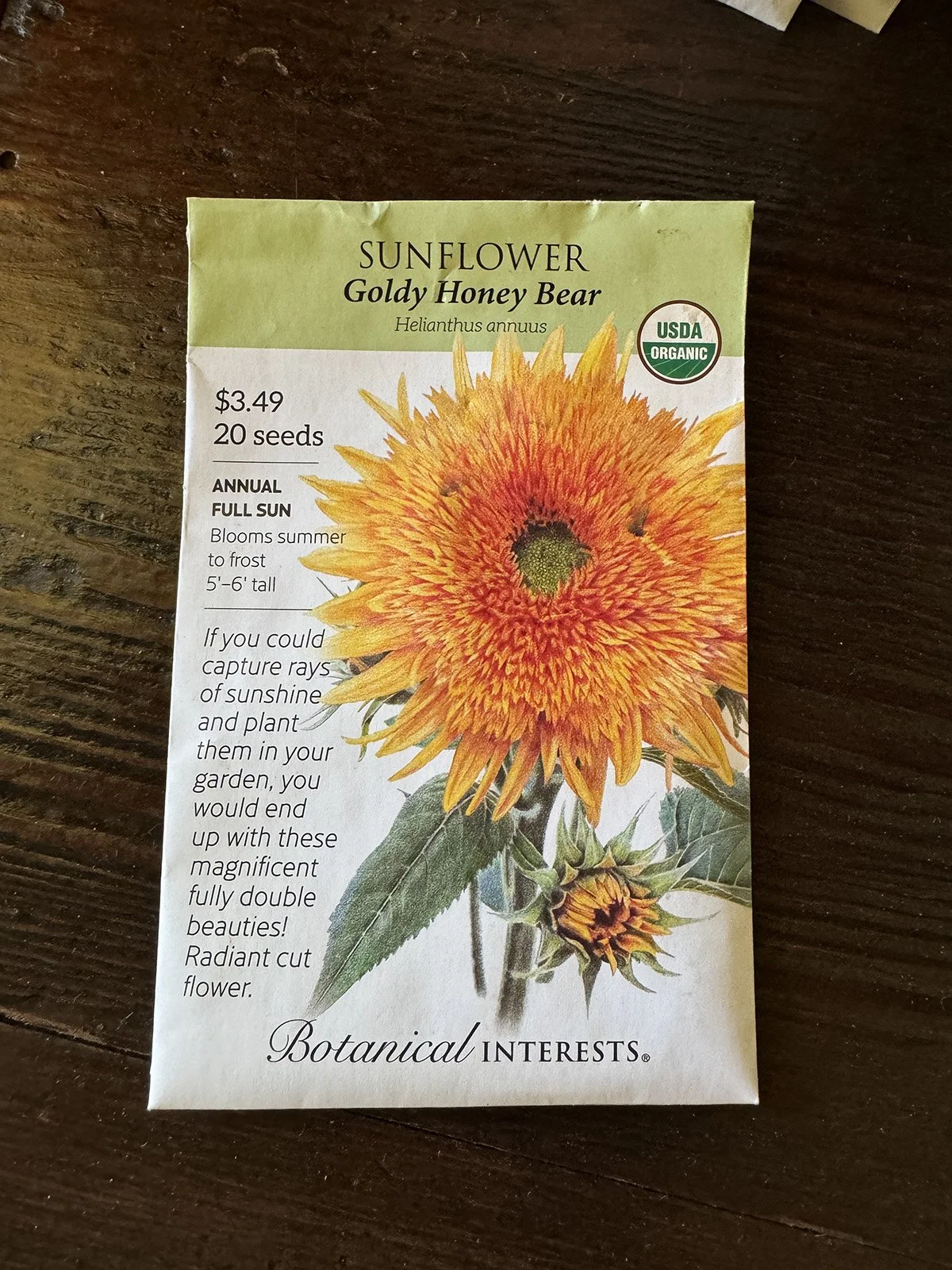 My Top 6 Favorite Sunflower Varieties from Last Year — Made on 23rd