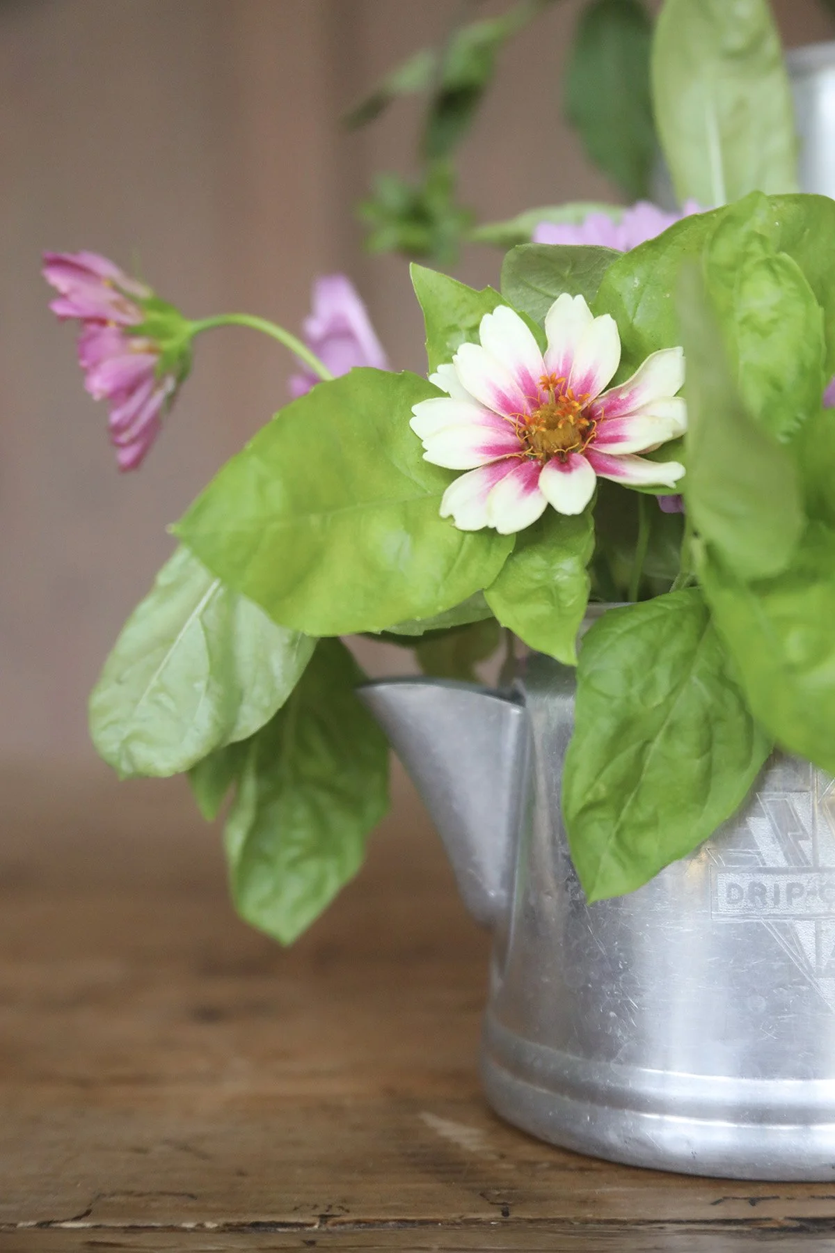 Thrifted Treasure Series Part 13 - Vintage Coffee Pots — Made on 23rd