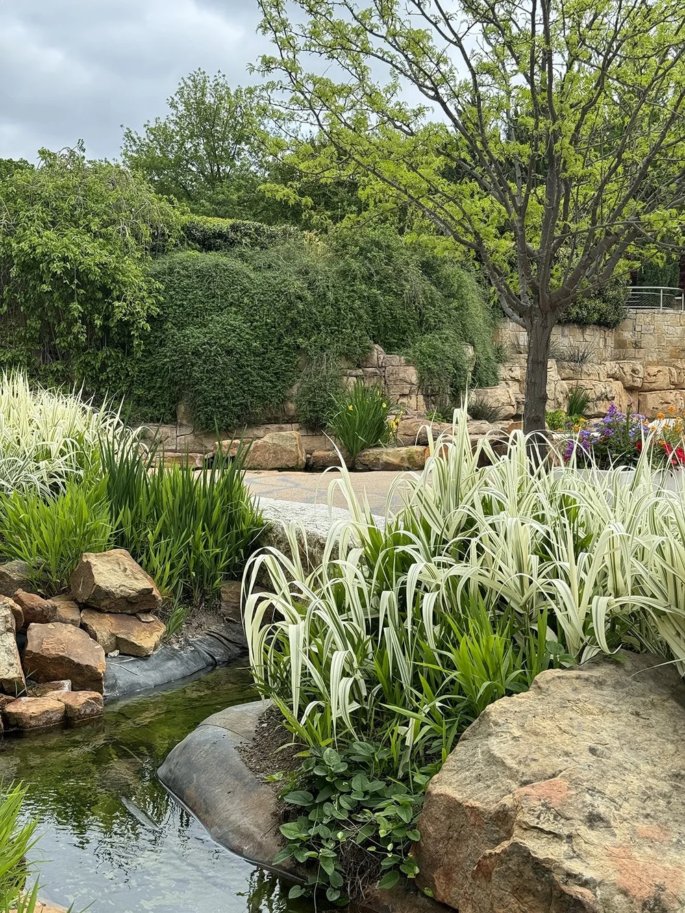 Dallas Arboretum and Botanical Garden — Made on 23rd