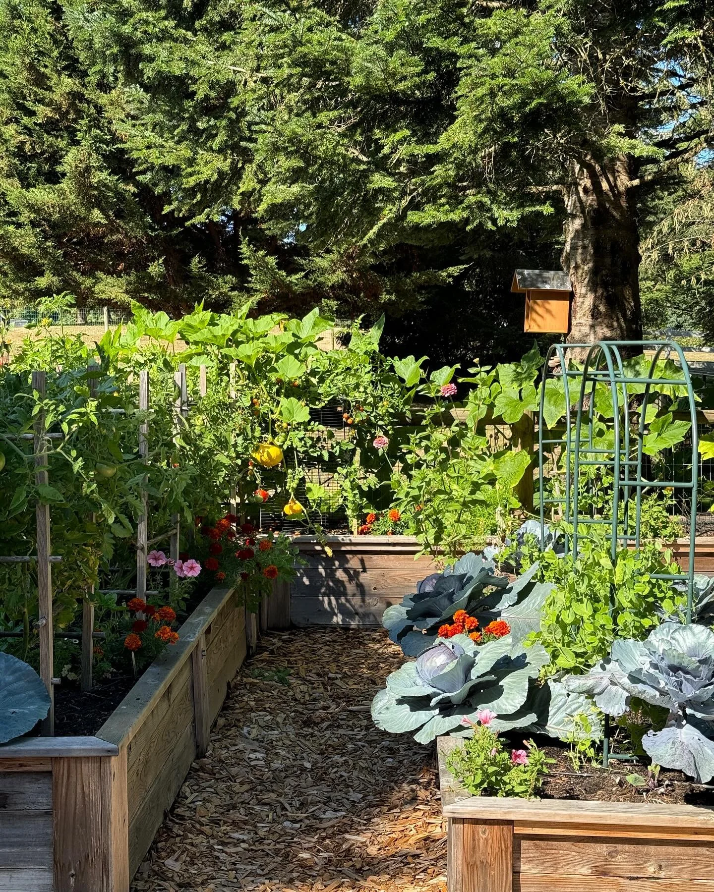 Cast Iron Garden Wall Hook — Made on 23rd