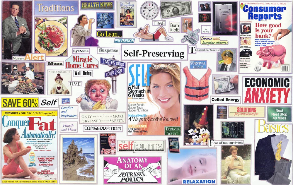 Self Preserving Subtype (Variant)