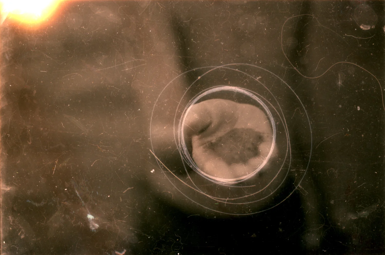 Robin Cracknell