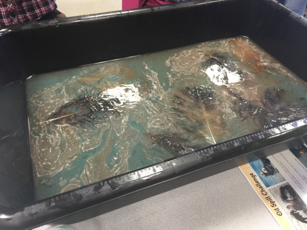 Earth Day Oil Spill Challenge — Vivify STEM