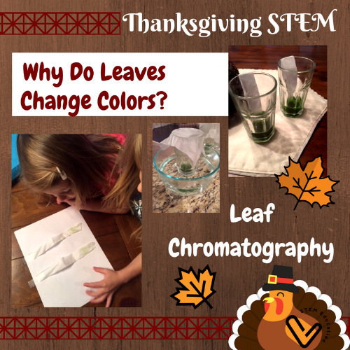Thanksgiving STEM — Vivify STEM