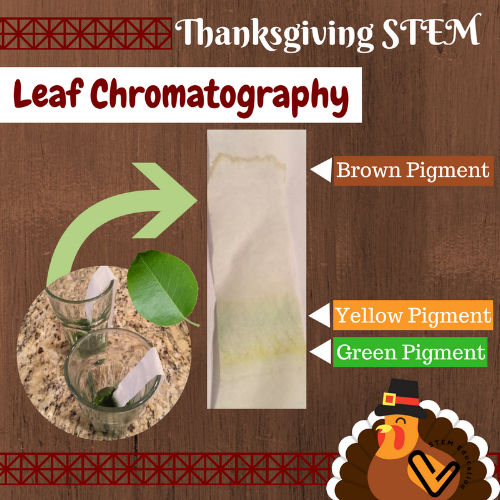 Thanksgiving STEM — Vivify STEM