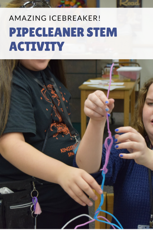 Pipe Cleaner STEM Challenge — Vivify STEM
