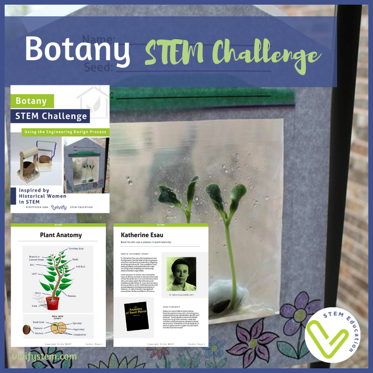 7 Activities Featuring Women in STEM History — Vivify STEM