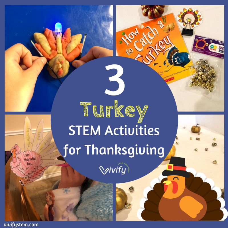 3 Turkey STEM Activities for Thanksgiving — Vivify STEM