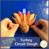3 Turkey STEM Activities for Thanksgiving — Vivify STEM