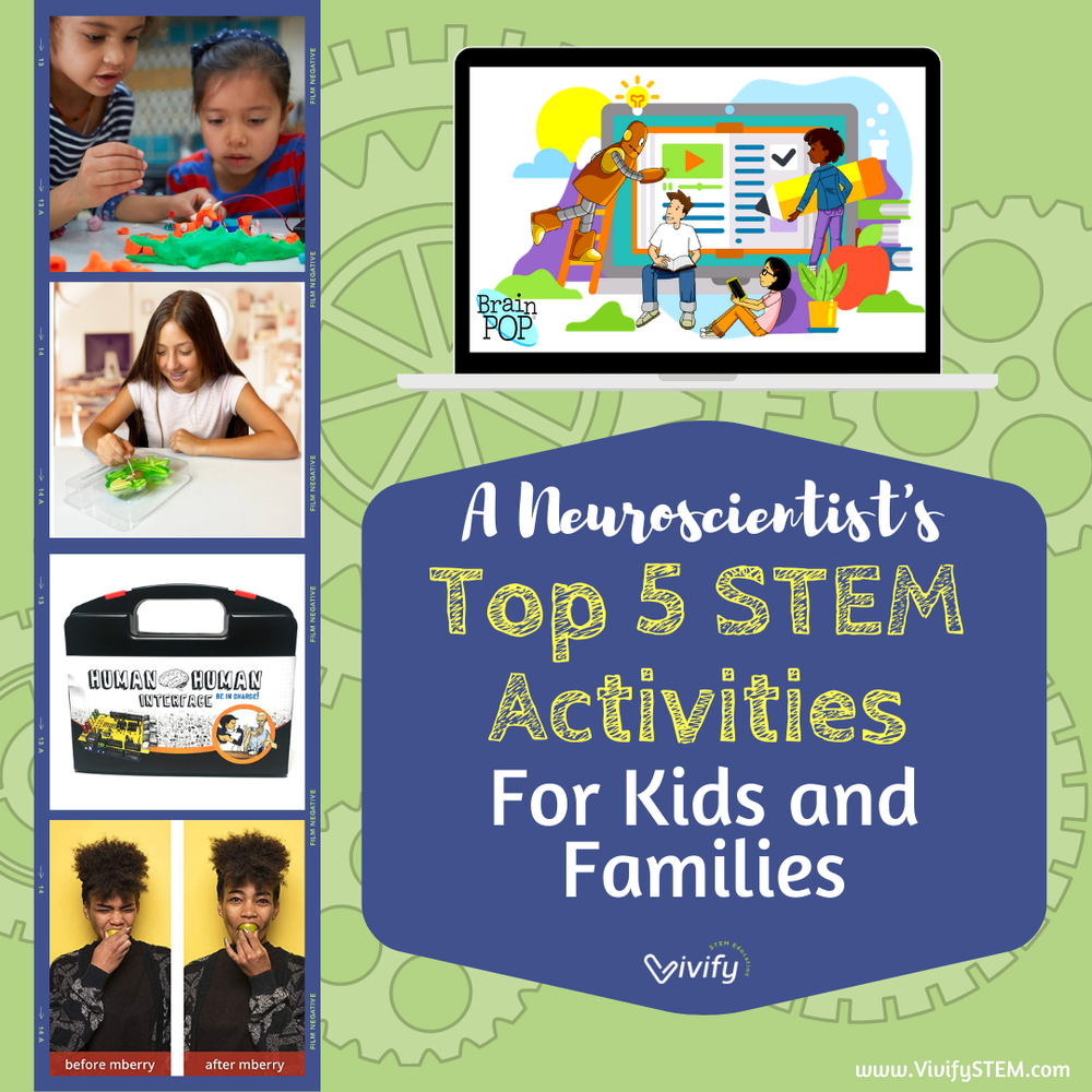 A Neuroscientist’s Top 5 STEM Activities for Kids and Families ...