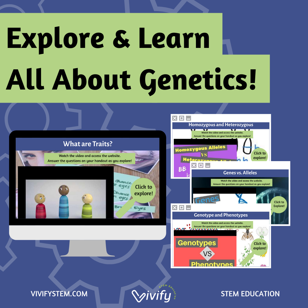 Design a Zoo! 5E STEM Project — Vivify STEM