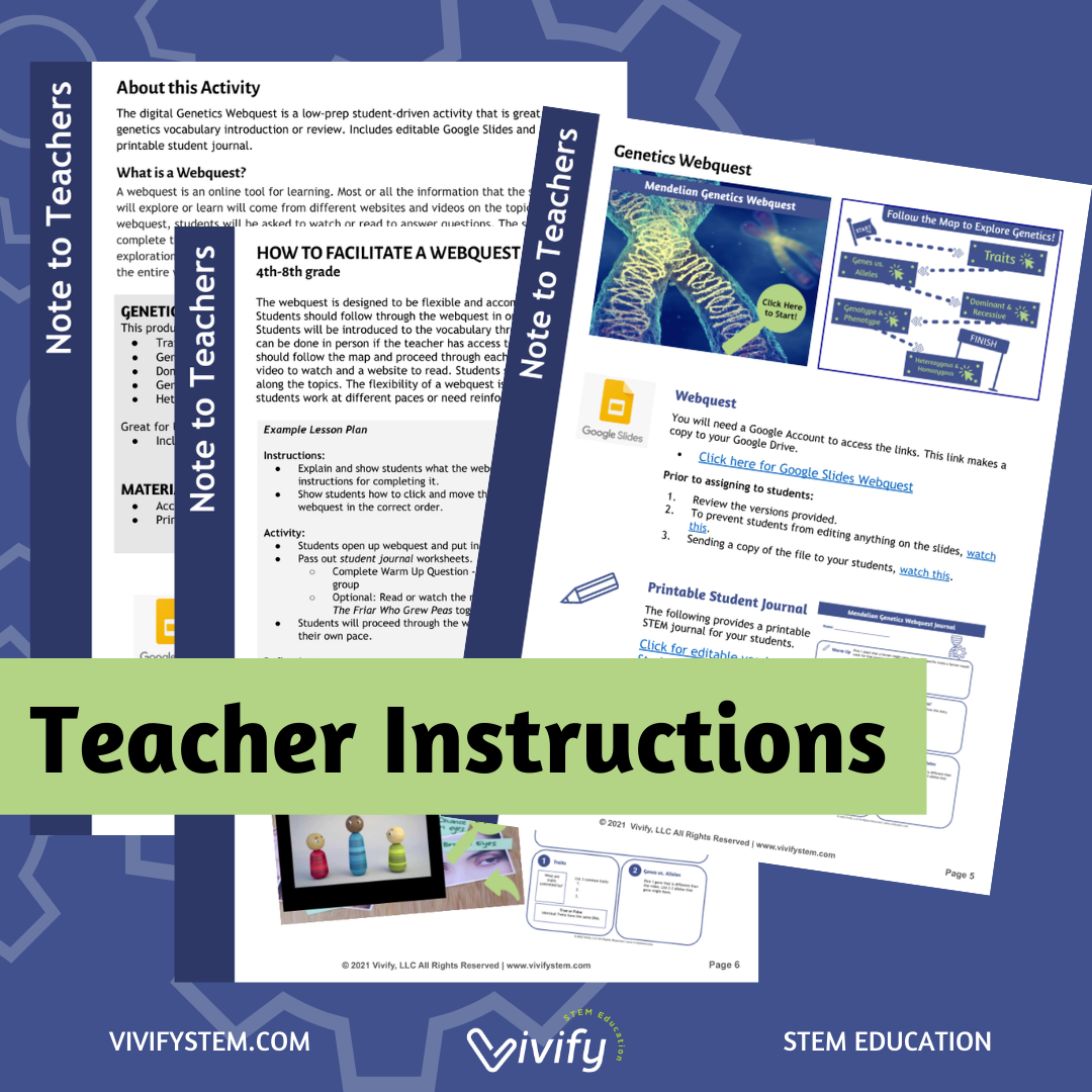 Design a Zoo! 5E STEM Project — Vivify STEM