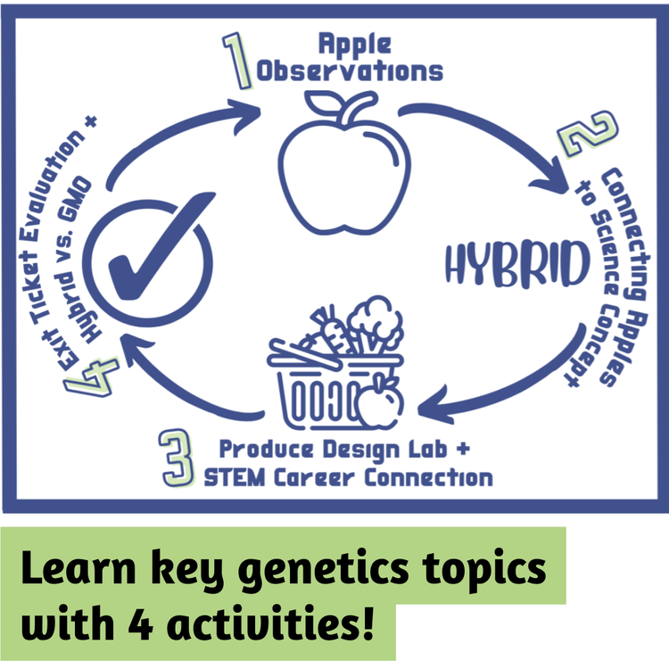 Water Pipeline STEM Challenge (Engineering Design Activity) — Vivify STEM