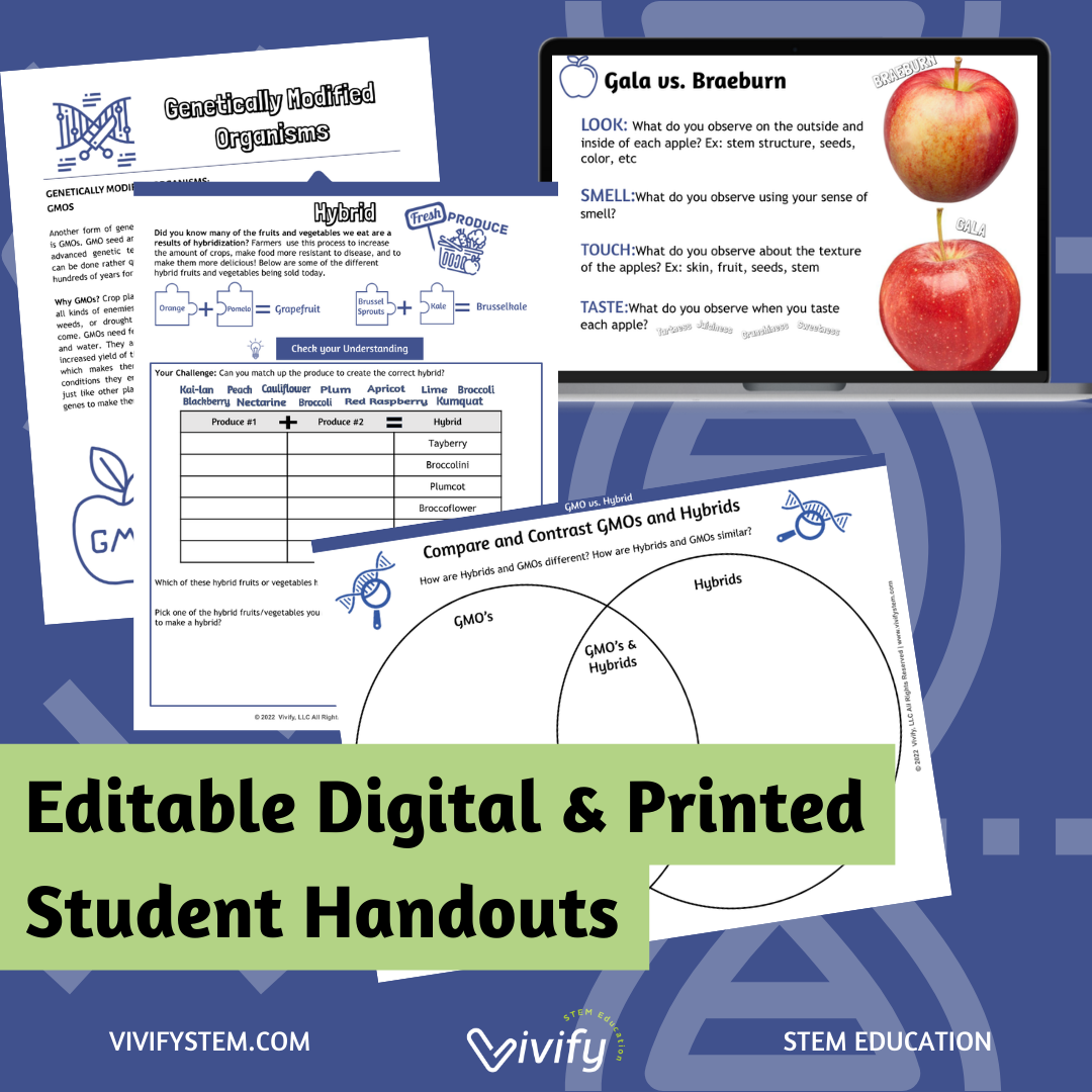 Water Pipeline STEM Challenge (Engineering Design Activity) — Vivify STEM