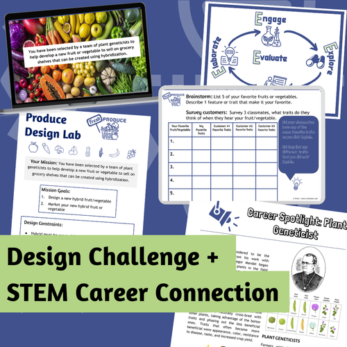 Design a Zoo! 5E STEM Project — Vivify STEM