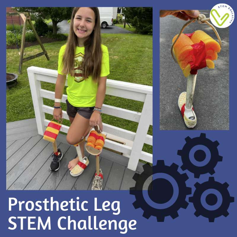 Design a Prosthetic Leg STEM Activity...for Animals! — Vivify STEM