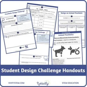 Design a Zoo! 5E STEM Project — Vivify STEM
