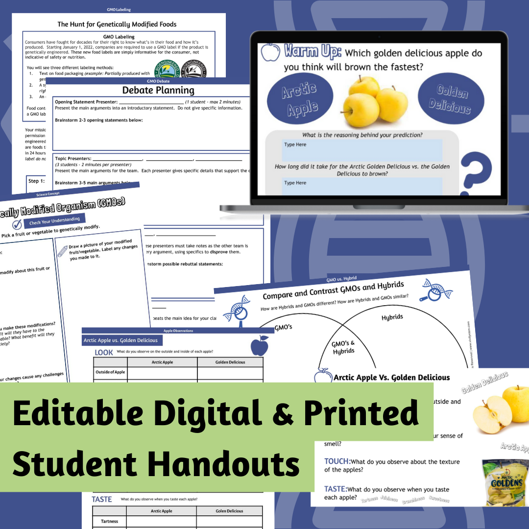 Water Pipeline STEM Challenge (Engineering Design Activity) — Vivify STEM