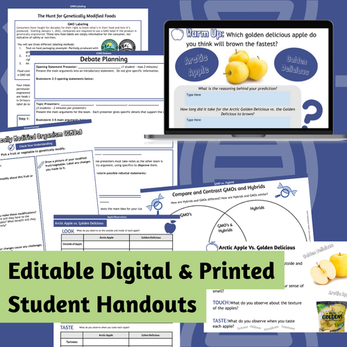 Water Pipeline STEM Challenge (Engineering Design Activity) — Vivify STEM