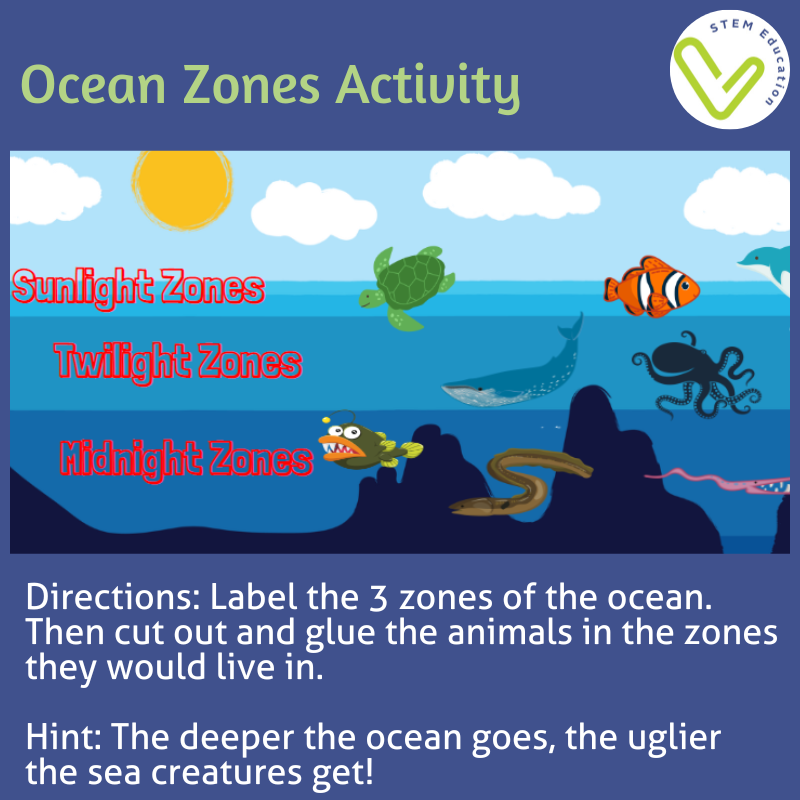Ocean STEM Activities — Vivify STEM