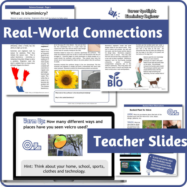 Design a Zoo! 5E STEM Project — Vivify STEM