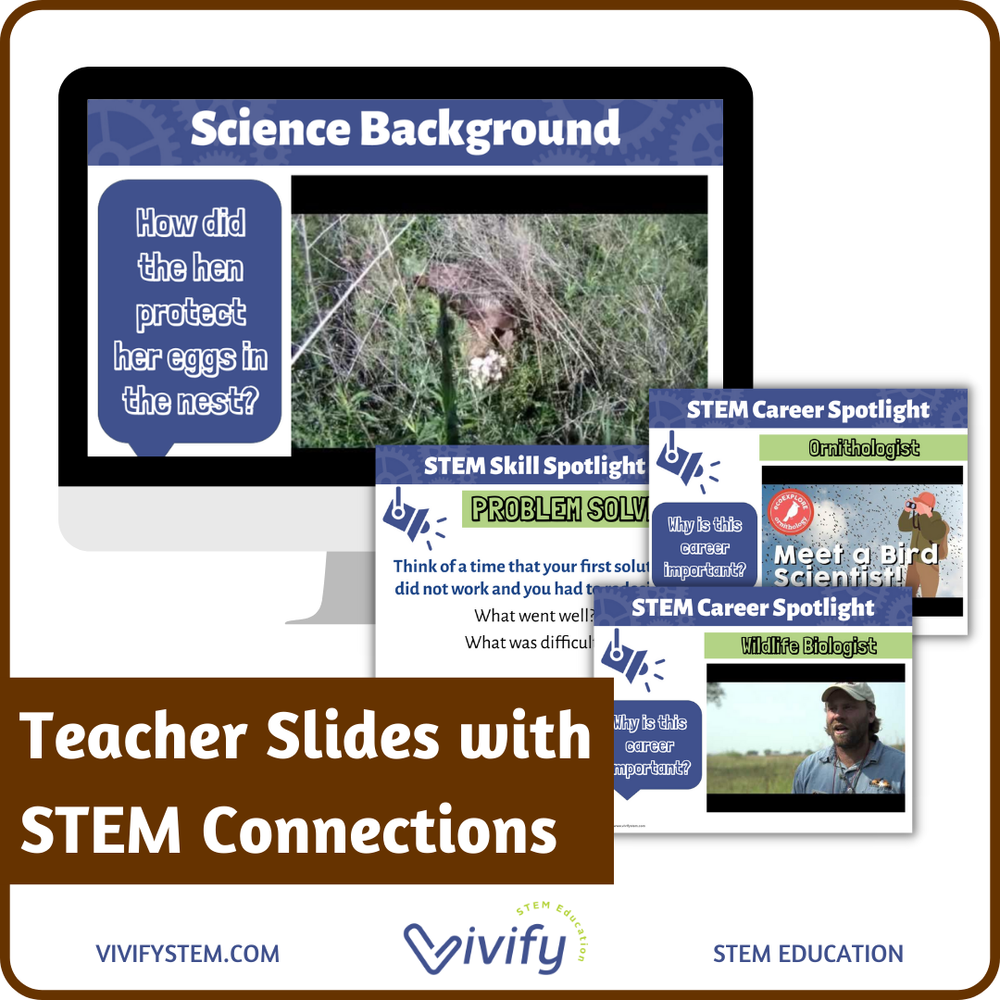 STEM Fall Pumpkin Catapult - Math & Engineering Activity (Angles and ...