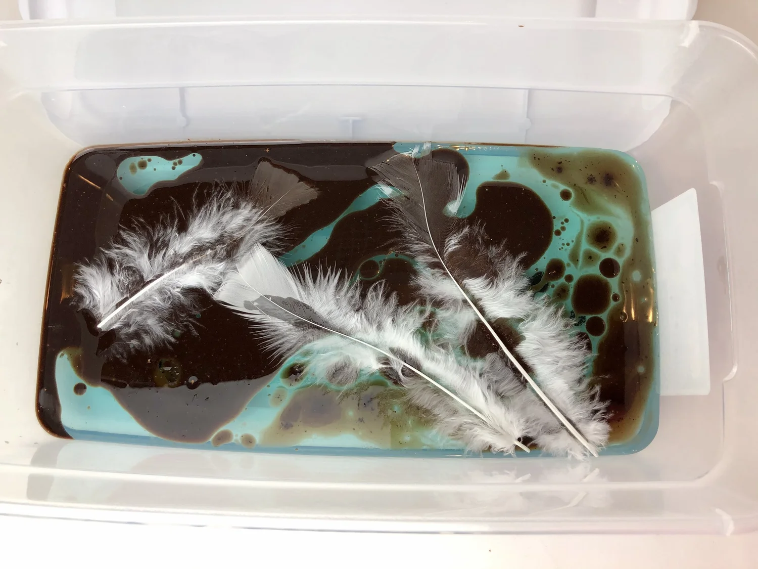 Earth Day STEM: Oil Spill Challenge — Vivify STEM