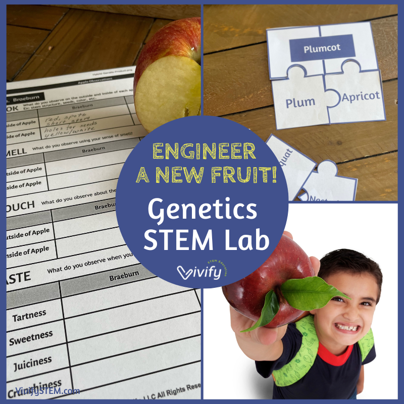 Engineer a New Fruit! Genetics STEM Lab Activity — Vivify STEM