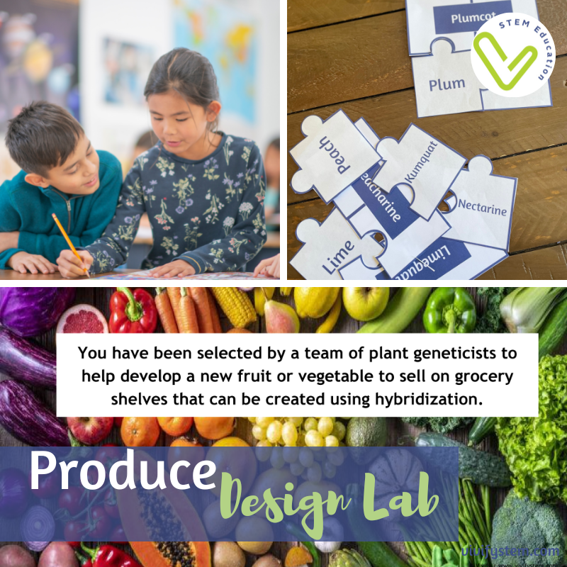 Engineering and the 5E Science Model — Vivify STEM