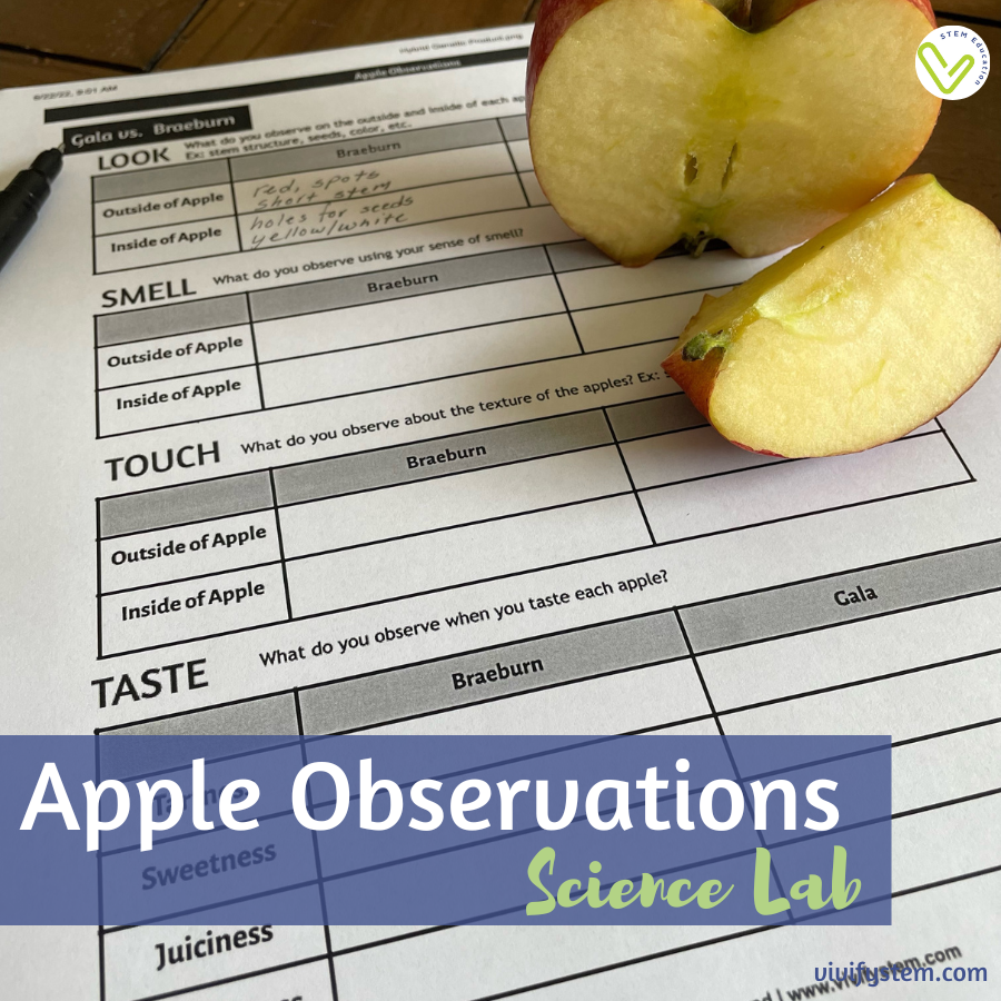 Engineer a New Fruit! Genetics STEM Lab Activity — Vivify STEM