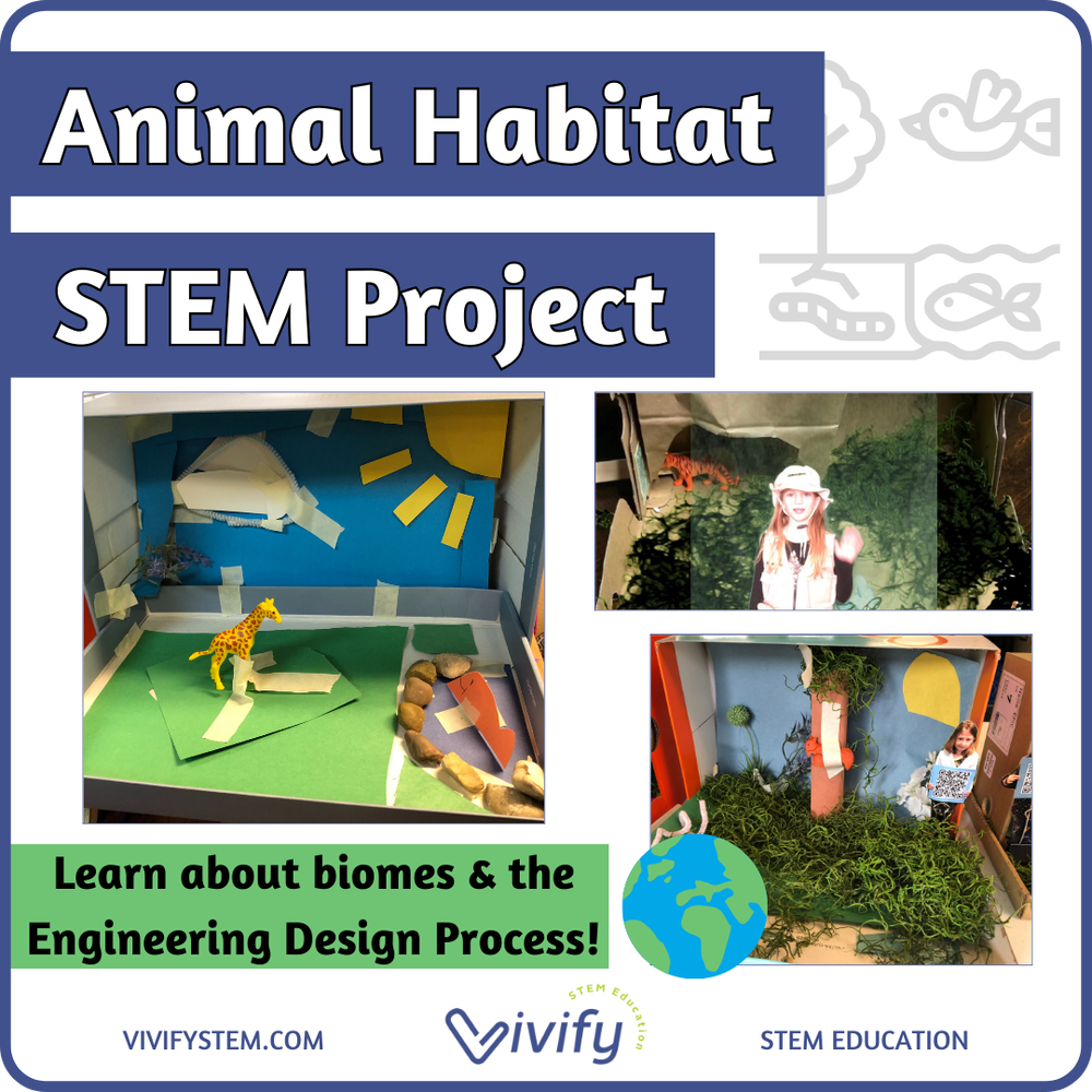 Ocean Animal Observatory STEM Diorama Engineering Design Project ...