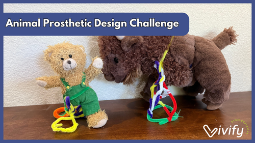 5 Creative STEM Challenges Using Only Pipe Cleaners — Vivify STEM